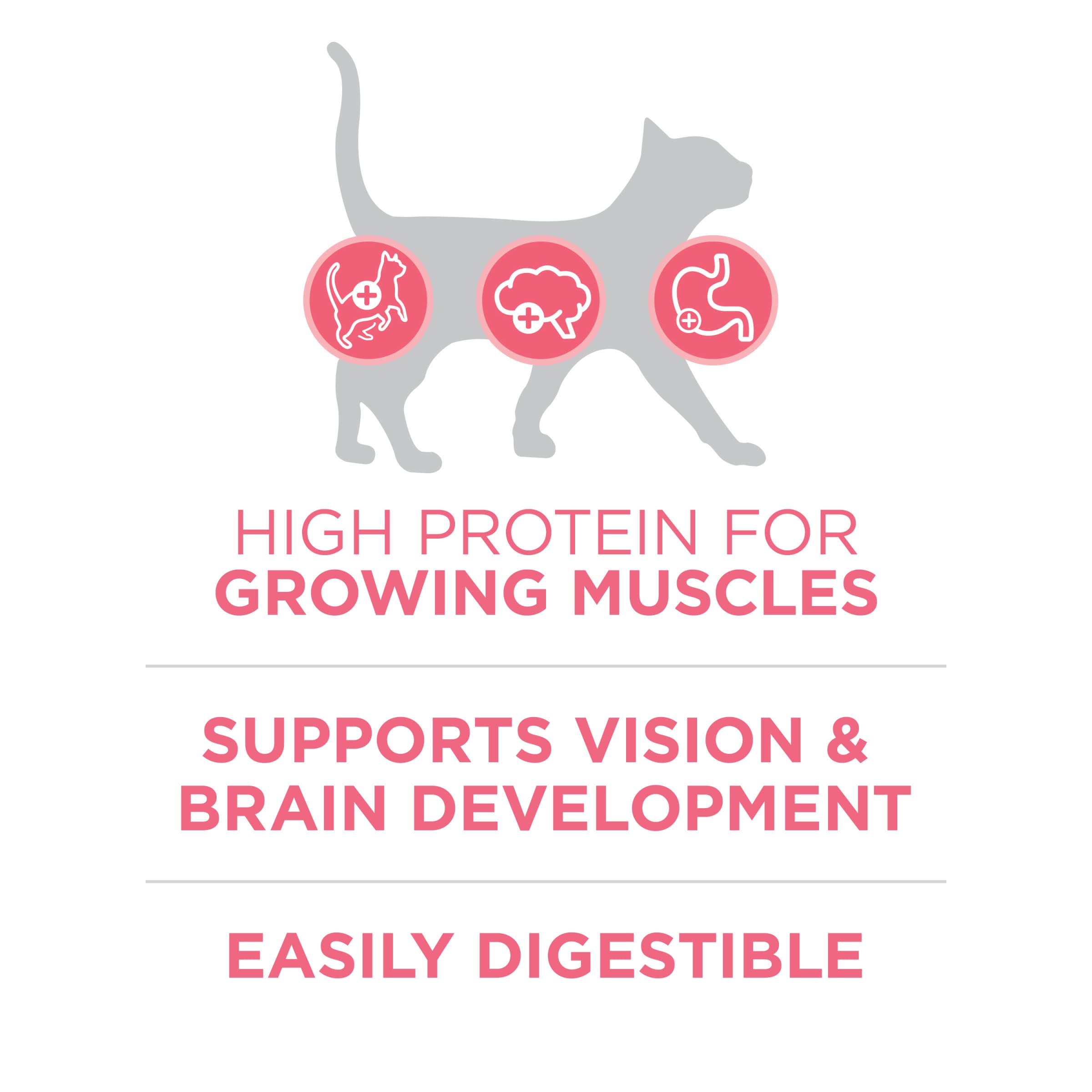 Purina ONE High Protein, Natural Dry Kitten Food, +Plus Healthy Kitten Formula - 16 lb. Bag