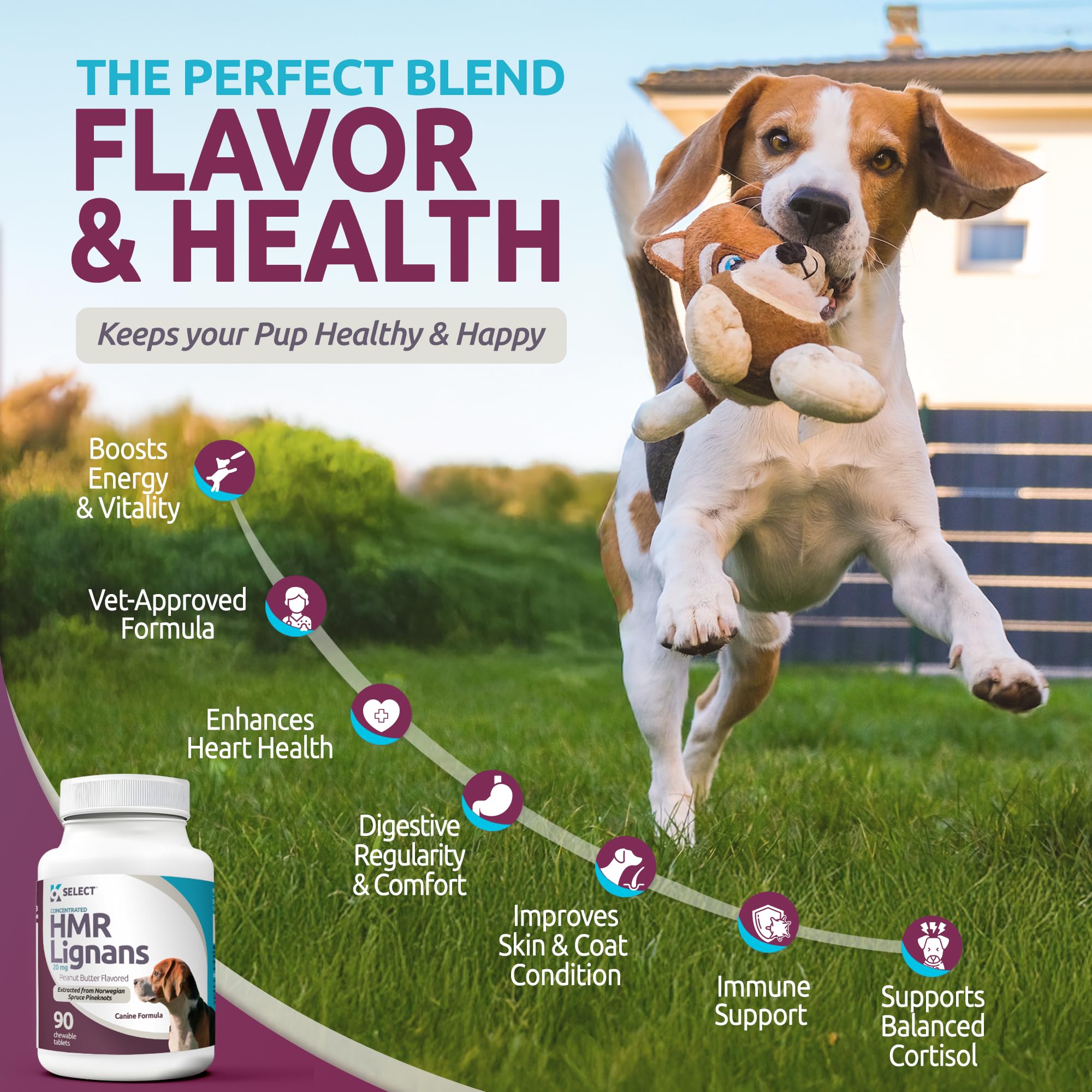 K9 Select HMR Lignans for Dogs - Enhancer for Overall Wellness, Immune Support for Dogs - Norway Spruce Extract Holistic Dog Health - Digestion, & Coat Care - Peanut Butter, 20mg, 90 Tablets