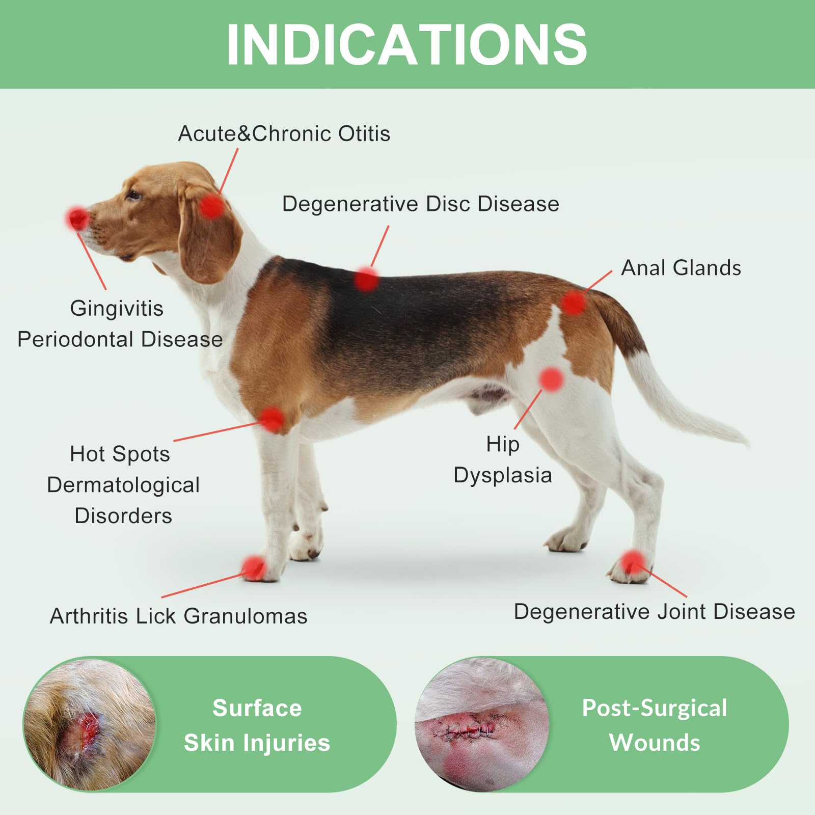 GOVW Laser Therapy for Dogs, 4x808nm+16x650nm, Cold Laser Therapy Device for Dogs Professional, Veterinary Laser Therapy Machine, Cold Laser Therapy Device for Horses, Laser Treatment for Animals