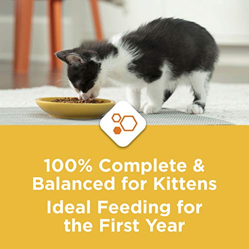 Purina Kitten Chow Dry Kitten Food, Nurture Muscle + Brain Development - 14 lb. Bag