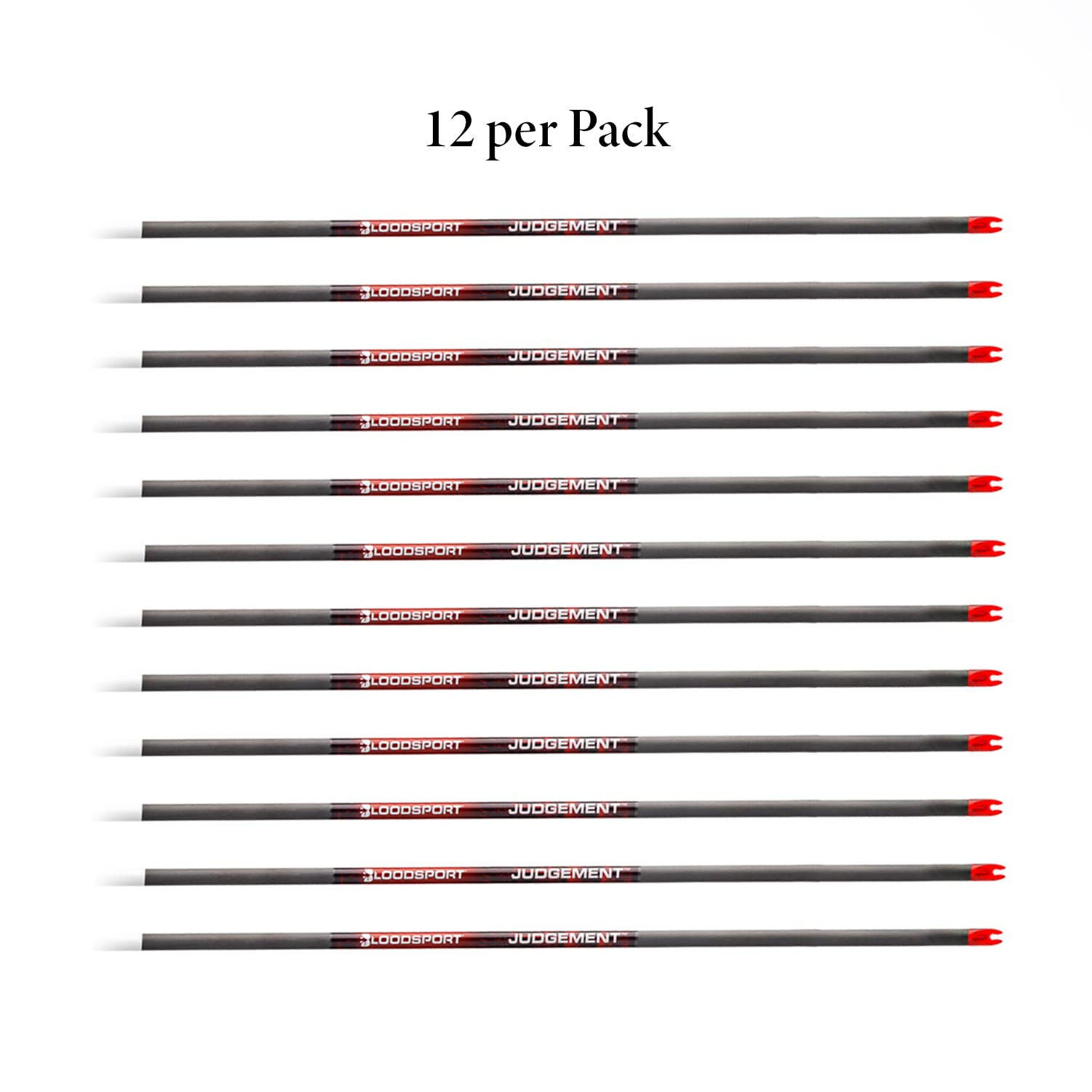 BLOODSPORT Judgement Bare Shaft Lightweight Precise Durable Carbon Hunting Arrow for Compound Bow - 31" Length, 244" Standard-Diameter, 001" Straightness, 12 Pack, 300 Spine