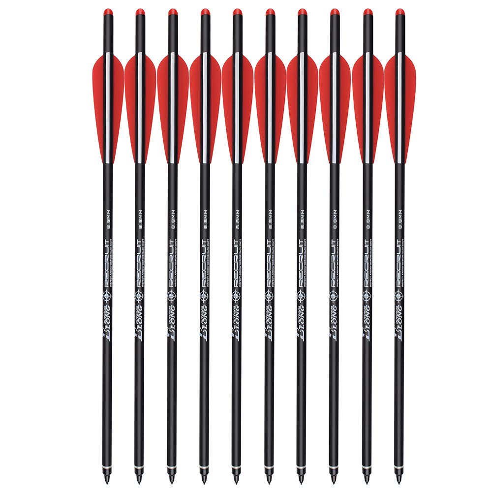 Carbon Crossbow Bolts 16 Inch Hunting Archery Arrows with 4" Vanes Replaced Arrowhead Tip 12PCS