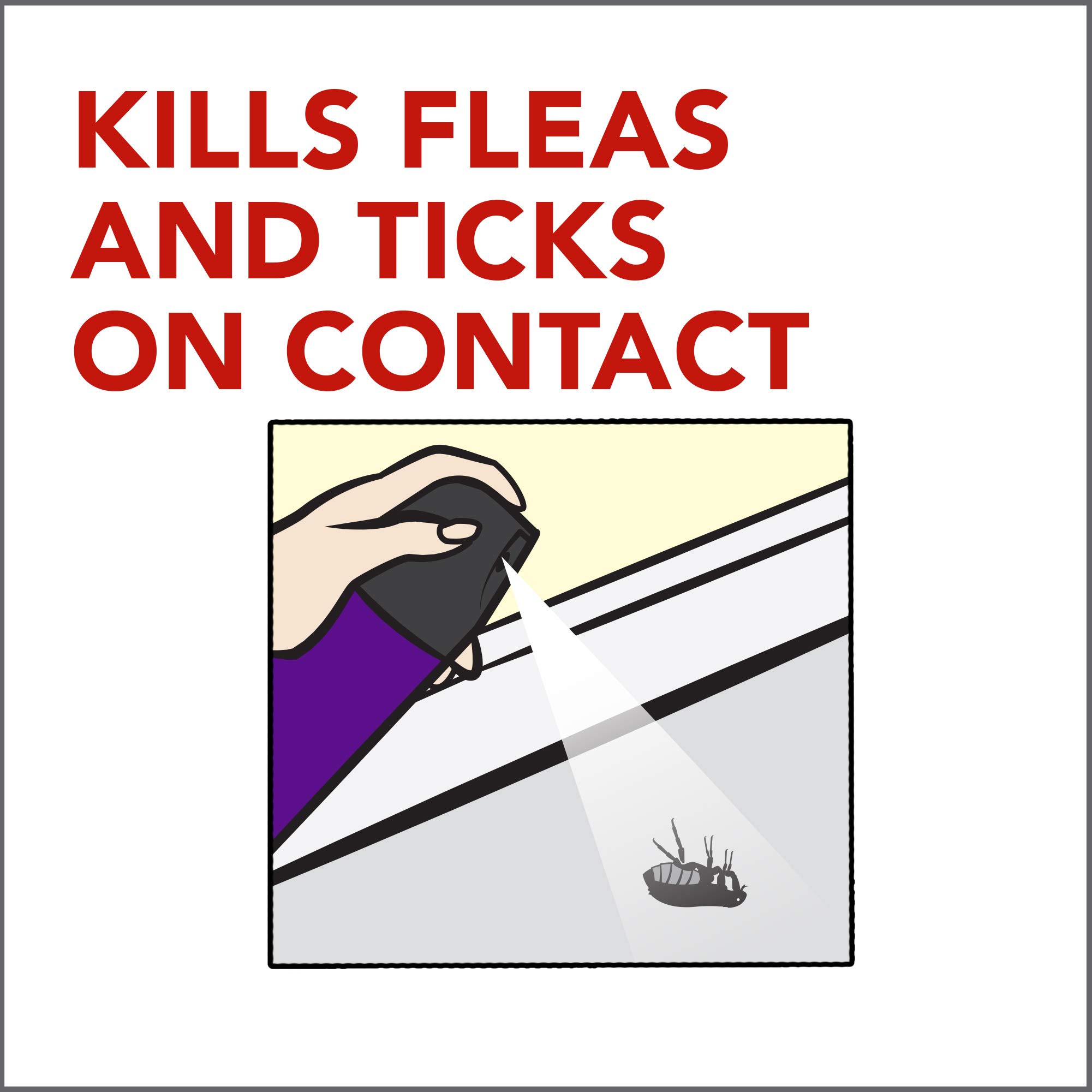 Raid Flea Killer Carpet & Room Spray, Kills hatching eggs for up to 4 months, 16 Oz