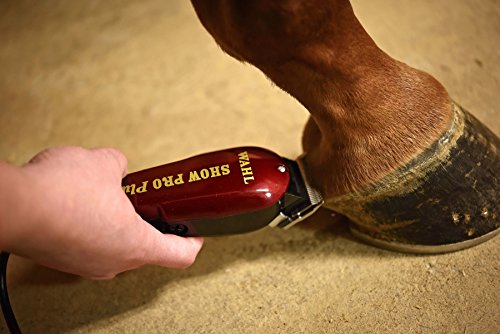 WAHL Professional Animal Show Pro Plus Equine Horse Clipper and Grooming Kit (9482-700)