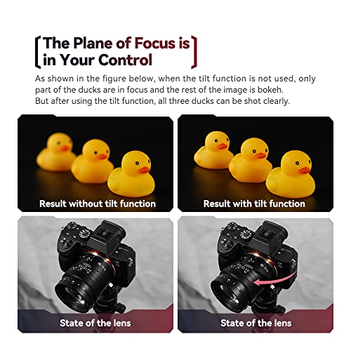 TTartisan 50mm F1.4 Tilt Lens, Compatible with Full-Frame Sony E-Mount Mirrorless Cameras Alpha a7 a7II a7III a7R a7RII a7RIII a7RIV a7S a7SII a9 a7C