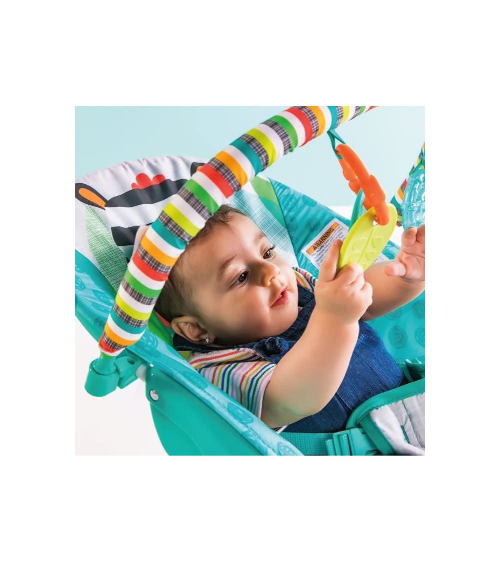Bright Starts Zig Zag Zebra Vibrating Bouncer Seat, Ages Newborn+