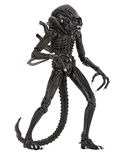 NECA - Alien- 7" Scale Action Figures - Ultimate Warrior - (1986) Brown Alien