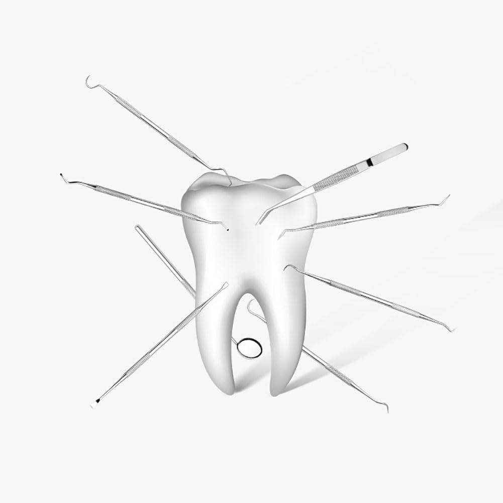 GSHLLO 4 Pcs Stainless Steel Tartar Remover Dog Teeth Picks Dental Tartar Removal Cleaner Tooth Plaque Scraper Pet Oral Cleaning Tool