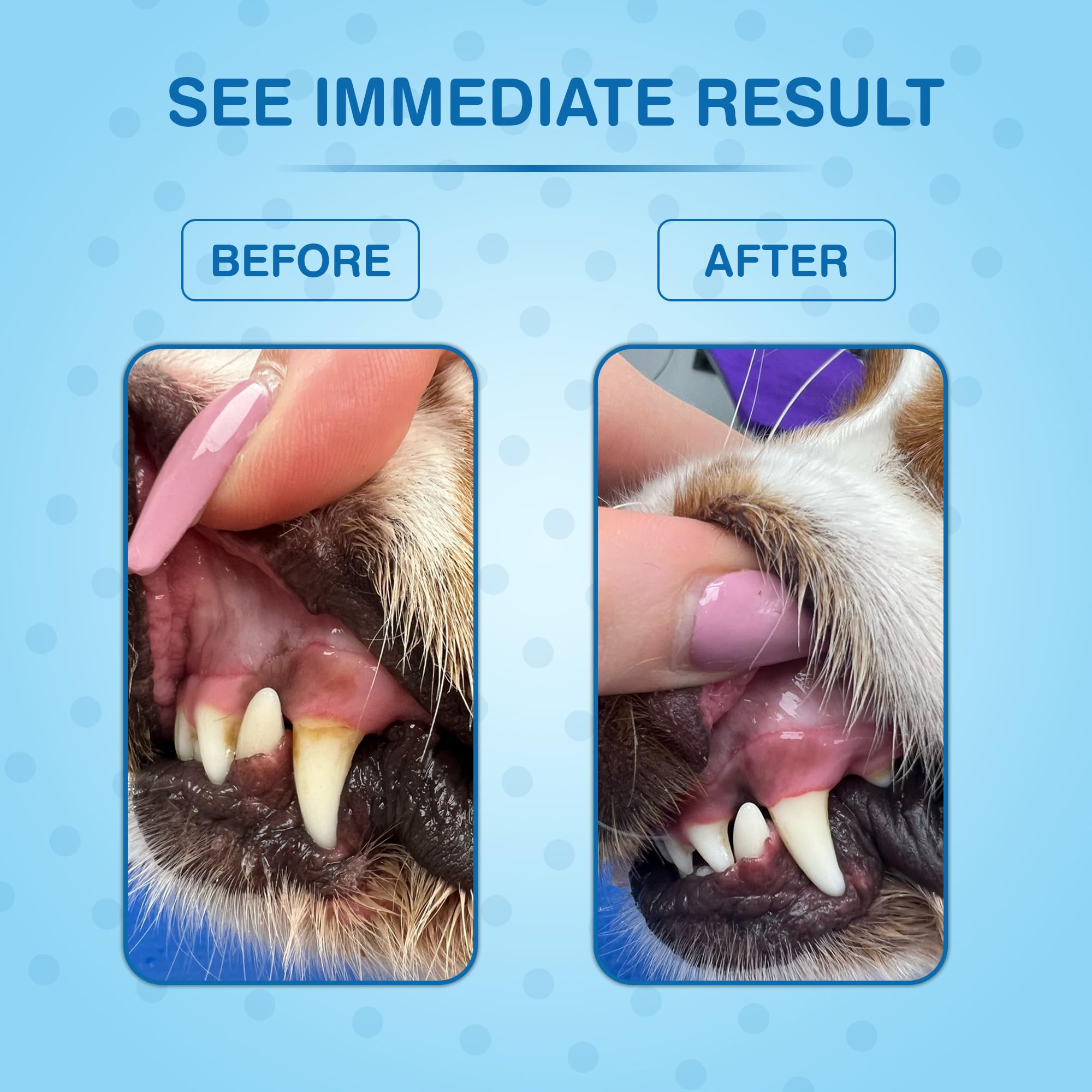 Follie 'n' Friends Dental Formula Water Additive - Combat Plaque and Tartar, Eliminate Bad Breath, Support Overall Gum Health - Easy to Use