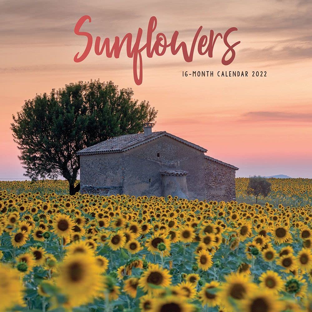 Carousel Calendars, Sunflowers 2022 Wall Calendar