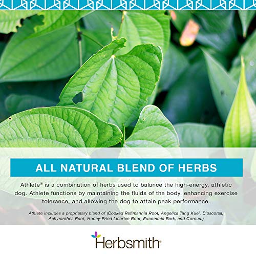 Herbsmith Athlete β Canine Endurance Supplement for Working and Agility Dogs β For the Canine Athlete β 75g Powder