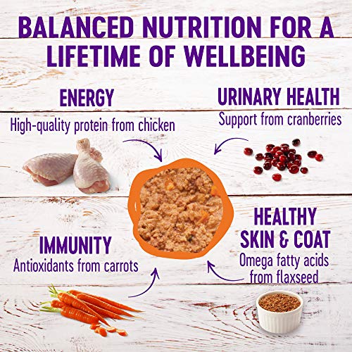 Wellness Complete Health Grain Free Canned Cat Food, Chicken Pate, 3 Ounces (Pack of 24)