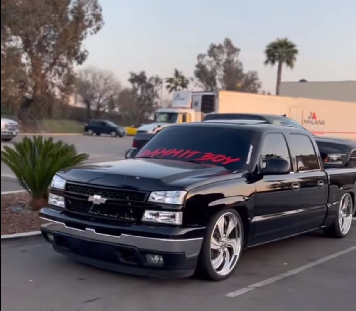 Dammit boy Decal