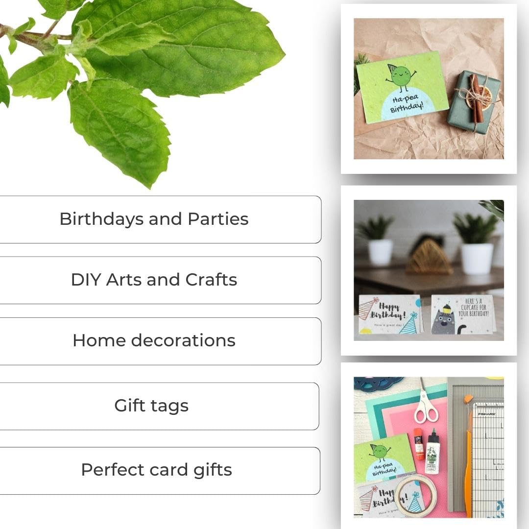 Habitage Seed Paper Birthday Greeting Cards - Set of 12 Eco-friendly Plantable Cards with Envelopes and Gift box | Variety Pack | Recycled Paper Embedded with Holy Basil seeds