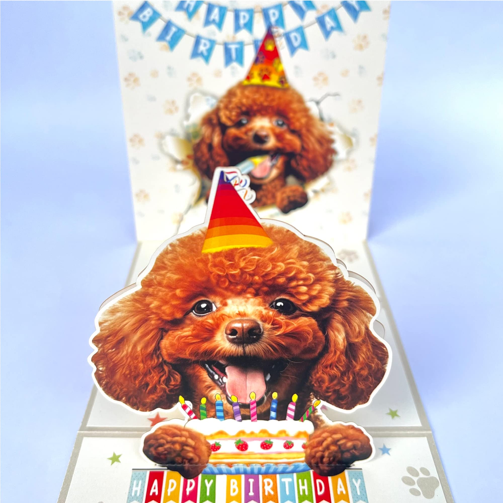 Crazytops Poodle Dog 3D Birthday Funny Pop Up Cards, Poodle Funny and Surprise Happy Birthday Lovely Cards