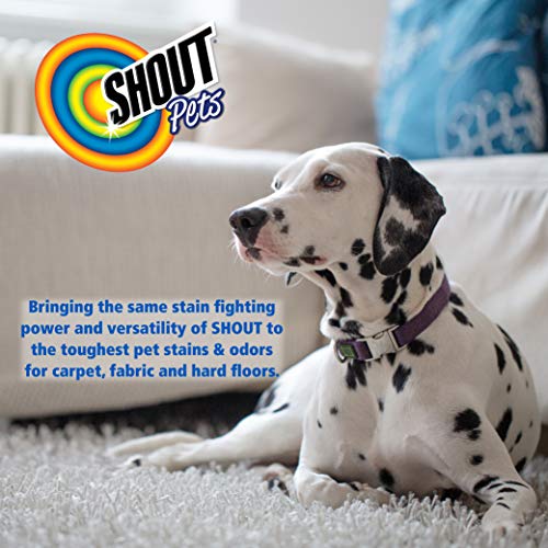 Shout for Pets Turbo Oxy Urine Remover | Carpet Cleaner and Pet Odor Eliminator in Fresh Scent, 32 Oz | Fast, Easy, and Effective for Pet Odors in Homes