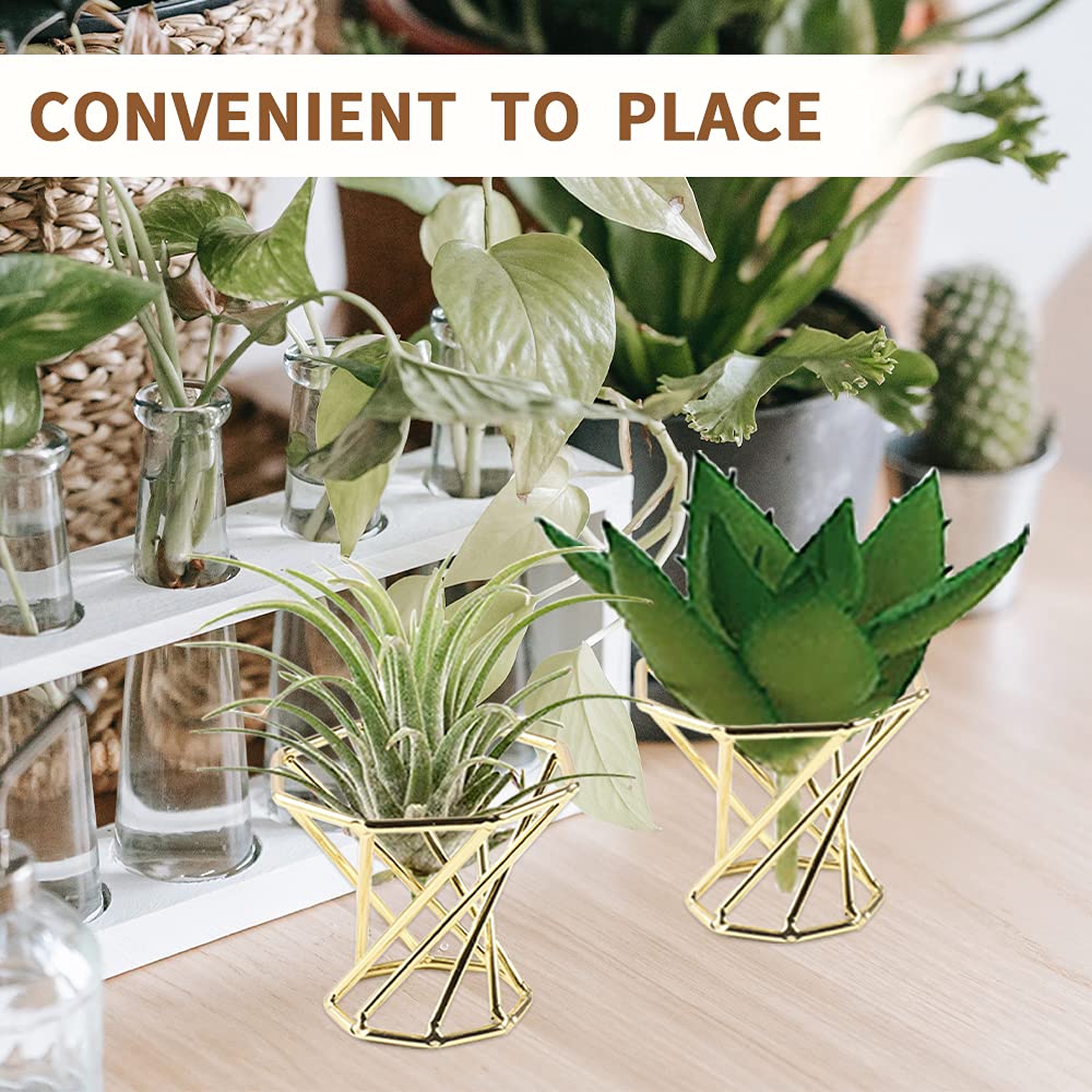 Bxxwin Air Plant Stand Container 4 Pcs Geometric Air Plant Container Airplant Display Racks for Office Desk(Gold)