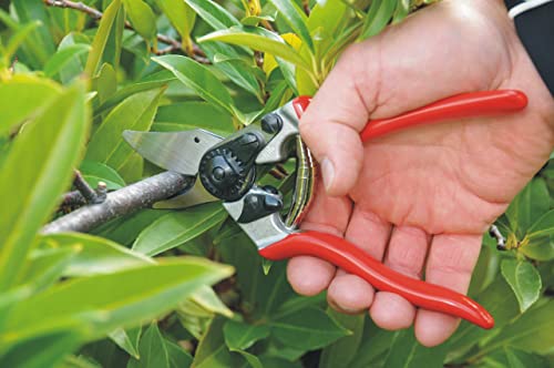 Felco Pruning Shears (F 6) - High Performance Swiss Made One-Hand Garden Pruners - 100052385