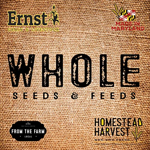 Ernst Grain Cracked Corn, Non-GMO β Perfect Feed for Ducks, Squirrels, Chickens, Ducks, Deer, Rabbits, Geese, and More! (50 lb)