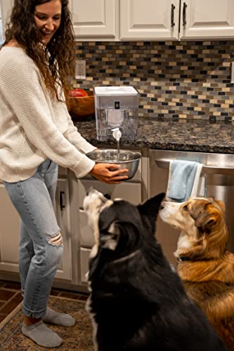Epic Pure Countertop Water Filter Dispenser for Drinking Water. 36 Cup 150 Gallon Filter. BPA Free Removes Fluoride, Chlorine, Lead Water Purifier Large Water Jug Dispenser