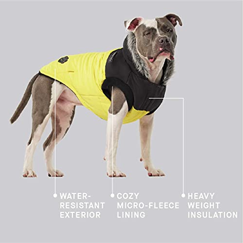 Canada Pooch True North Parka - Yellow - Size 10, 10 (9-11" Back Length)
