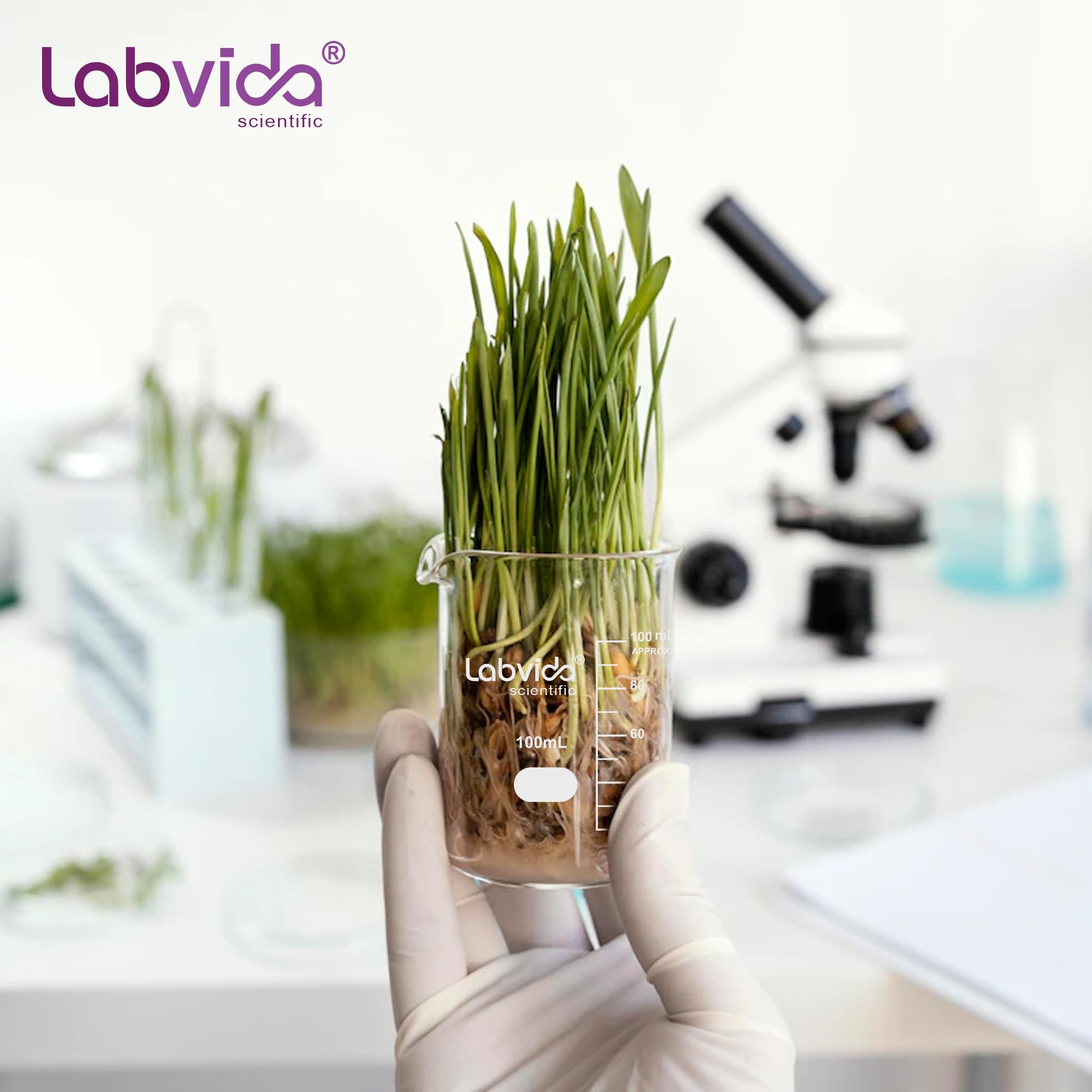 Labvida 24pcs of Low Form Glass Beakers, 3.3 Borosilicate with Printed Graduation, Vol.25ml,LVA037