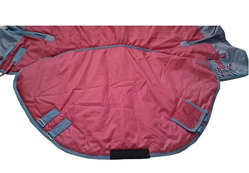 Turnout 1680D Horse Winter Waterproof with Neck Cover - Horse Blanket 001 - Size from 69" to 83" (75")