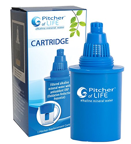 Pitcher of Life 2nd Generation Replacement Filter