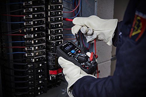 FLIR DM166 Digital Multi-Meter With Built-In Thermal Camera for Electrical Inspection, Automation, Electronics and HVAC