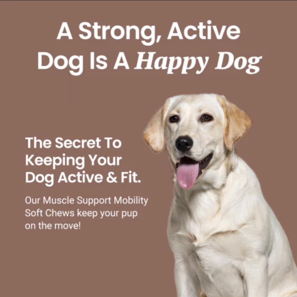 Holistapet Mobility Soft Chews, Amino Acids for Dogs, Supports Overall Health, Helps Maintain Activity, All Natural Ingredients (30 Count, Peanut Butter)