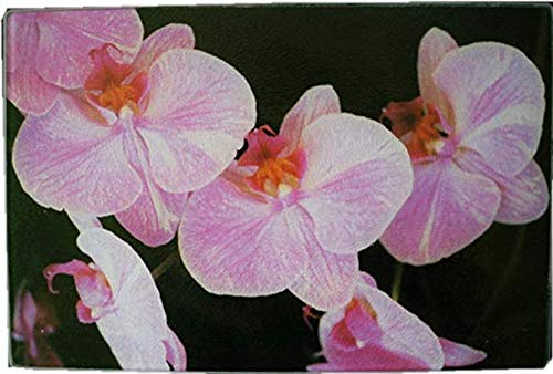 Direct2home Tempered Glass Cutting Board 12 X 8 Orchid Kitchen Art Surface Saver