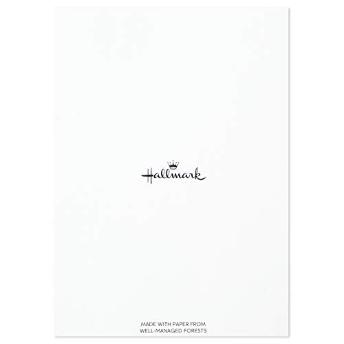 Hallmark Congratulations Card and Graduation Card Assortment (Boxed Set of 24 Cards with Envelopes)