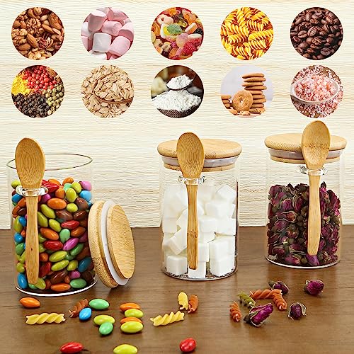 Glass Jars with Bamboo Airtight Lids - 17oz Glass Food Storage Containers, 3Pack Borosilicate Glass Canisters Coffee Jar with Spoon for Tea, Sugar, Spice, Bath Salts, Overnight Oats