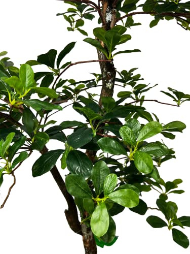 Hand-Made 5' Black Olive Leaf Artificial Tree with Ethically Sourced Real Wood Trunks | Green | Cypress & Alabaster