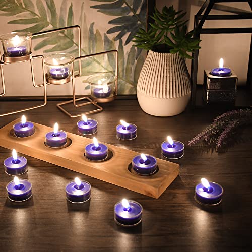 Zest Candle 50-Piece Tealight Candles, Blue