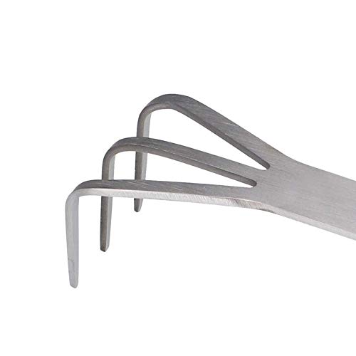 Gardening Rake, 2 in 1 Stainless Steel 3-Prong Loosen Soil Bonsai Tree Gardening Tool Root Rake and Spatula Patio Lawn Garden