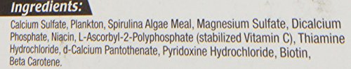 Zoo Med Laboratories AZMBB6 Plankton Banquet Block Feeder Giant, 1 Count (Pack of 1)