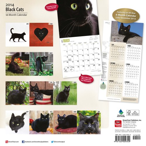 Black Cats 2014 Calendar 18-Month