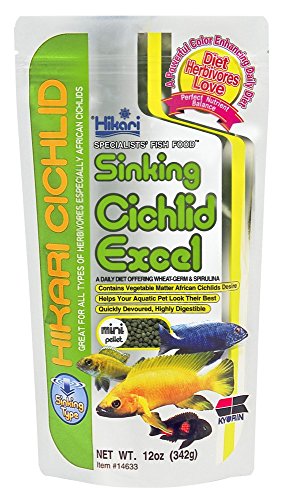 Sinking Cichlid Excel Mini Plt