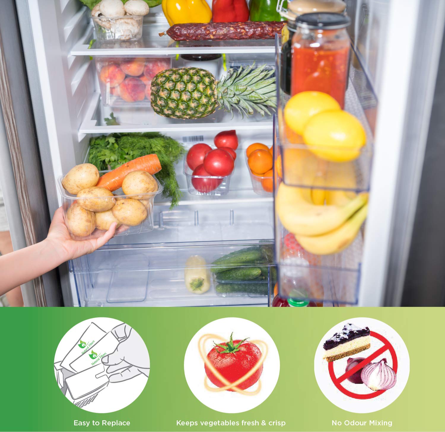 Natural Filters Air Filter, Produce Preserver (6-Pack Bundle) - Refrigerator Replacement Parts