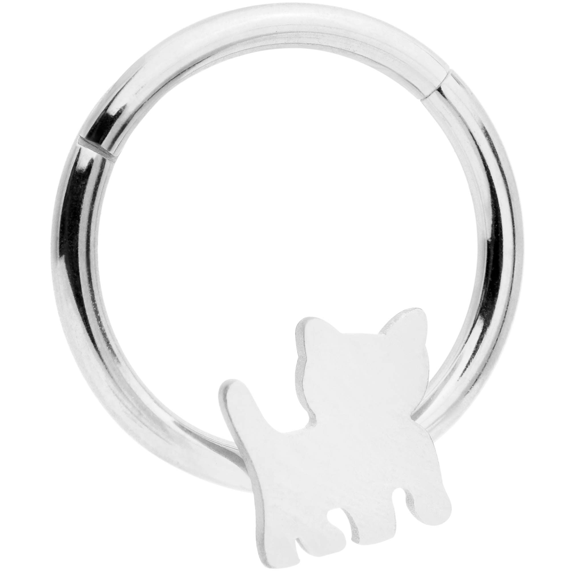 Body Candy 16G Steel Hinged Segment Ring Seamless Cartilage Nipple Ring Kitty Cat Nose Hoop 10mm