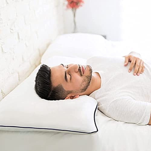 HOOMQING Bed Pillows 2 Pack - Standard Size Cooling Pillows for Sleeping Size Set of 2 for Side Back and Stomach Sleepers, Down Alternative Filling Luxury Pillows (White, Standard)