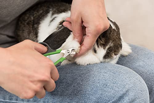 TRIXIE Pet Grooming Nail Clippers, for Small Dogs, Cats, Small Animals, and Birds, 3" (8cm)