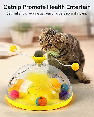 HOPET Interactive Cat Toy for Indoor Cats, Catnip Balls Roller Tracks Exercise Balls Teaser, Kitten Feeder Stimulation Toys Gifts for Pets Cats Lover Women Men