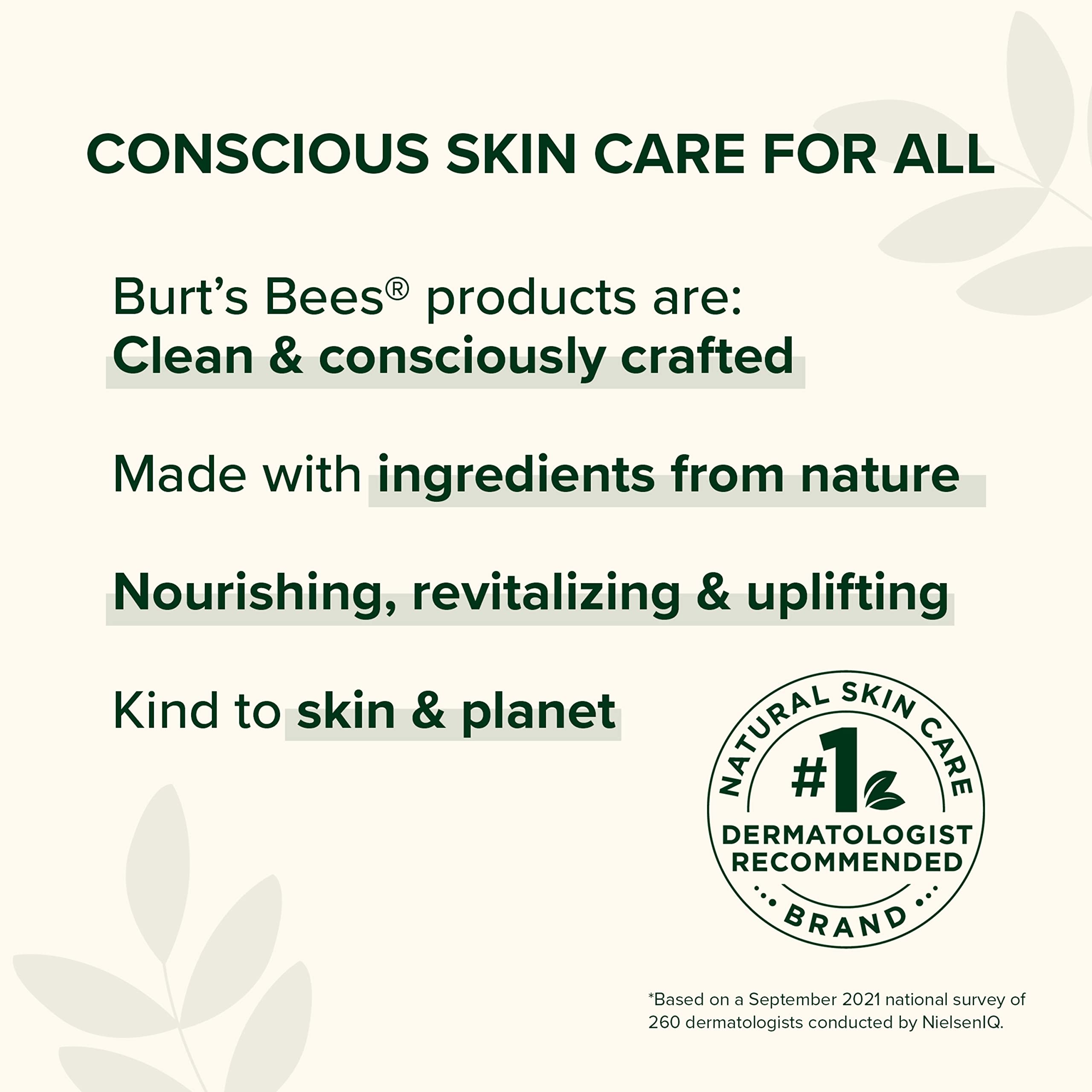Burts Bees Lip Balm Rescue Unscented .15 Ounce - 10792850911038