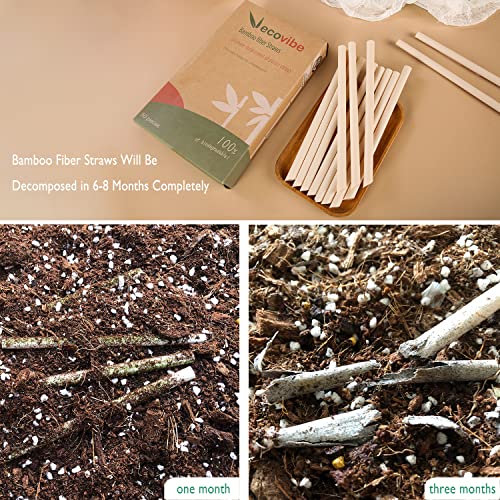 Ecovibe Straws Bamboo Straws Milkshake Straws Bamboo Straws Disposable Compostable Disposable Straw Straws For Hot Drinks Paper Boba Straws Bamboo Straw Drinking Bambo Straws Eco Straws(50 Pcs)