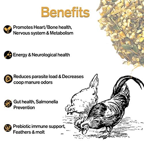 Fowl Treats Naturally Fortified Treats β Protein Rich Supplement Suitable for Chickens, Hens and Ducks, Hand Mixed with USA Grown Ingredients β Equinox Blend β 32oz