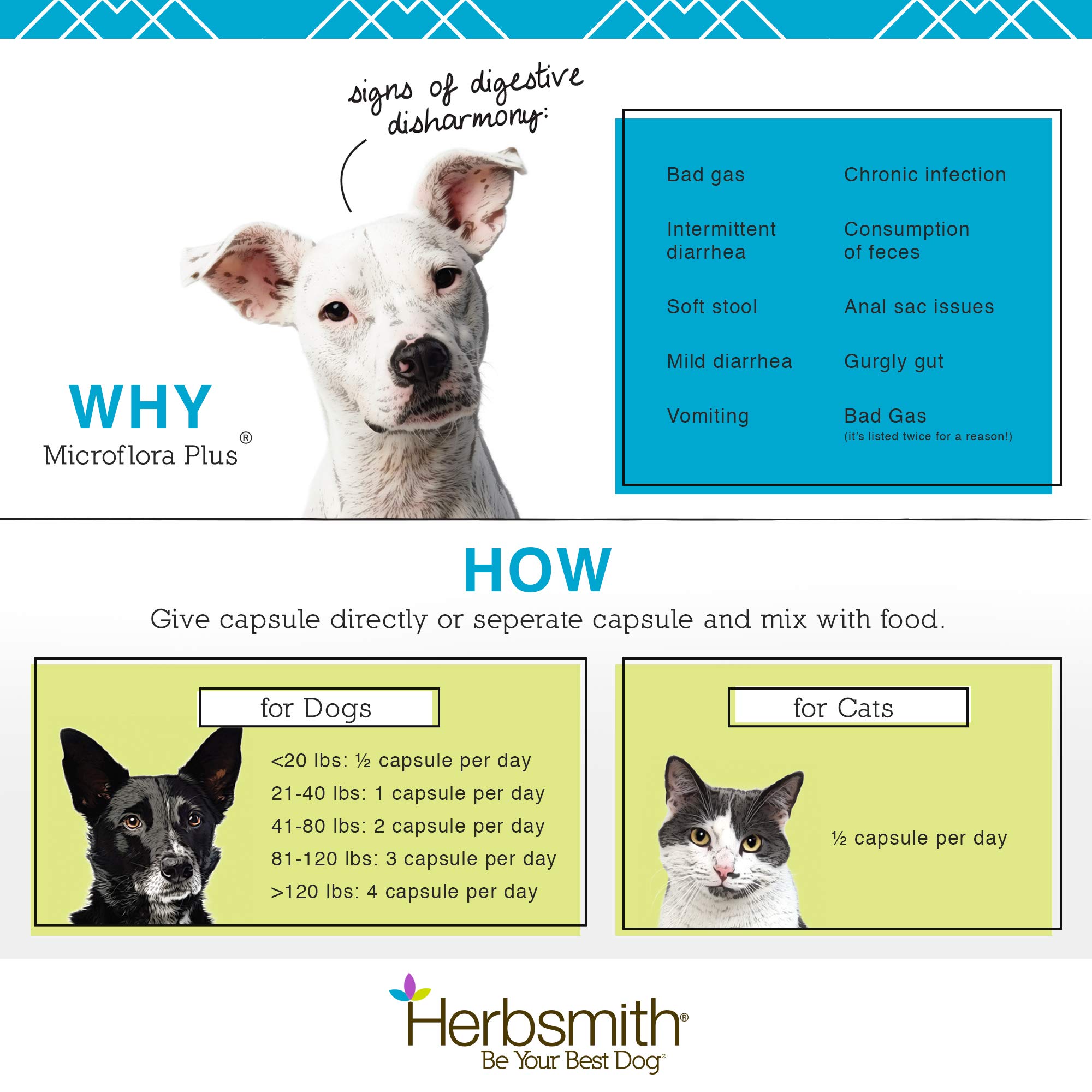 Herbsmith Microflora Plus – 4-in-1 Complete Cat Digestive Aid – Cat Prebiotics and Probiotics – Cat Probiotics for Diarrhea - 30 Capsules
