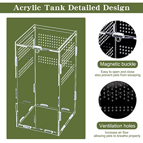 FORKPIE Habitat Terrarium Enclosure Reptile Terrarium Acrylic Tank Full View Jumping Spider Tarantula Enclosure, Insects Feeding Tank for Reptiles Mantis Lizard Habitat Snake Gecko(4.7x4.7x7.8inch)
