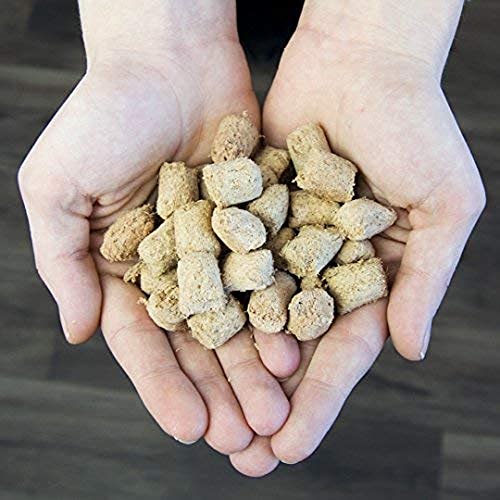 Stella & Chewy's Freeze-Dried Raw Carnivore Crunch Grass-Fed Beef Recipe Dog Treats β 3.25 oz. Bag